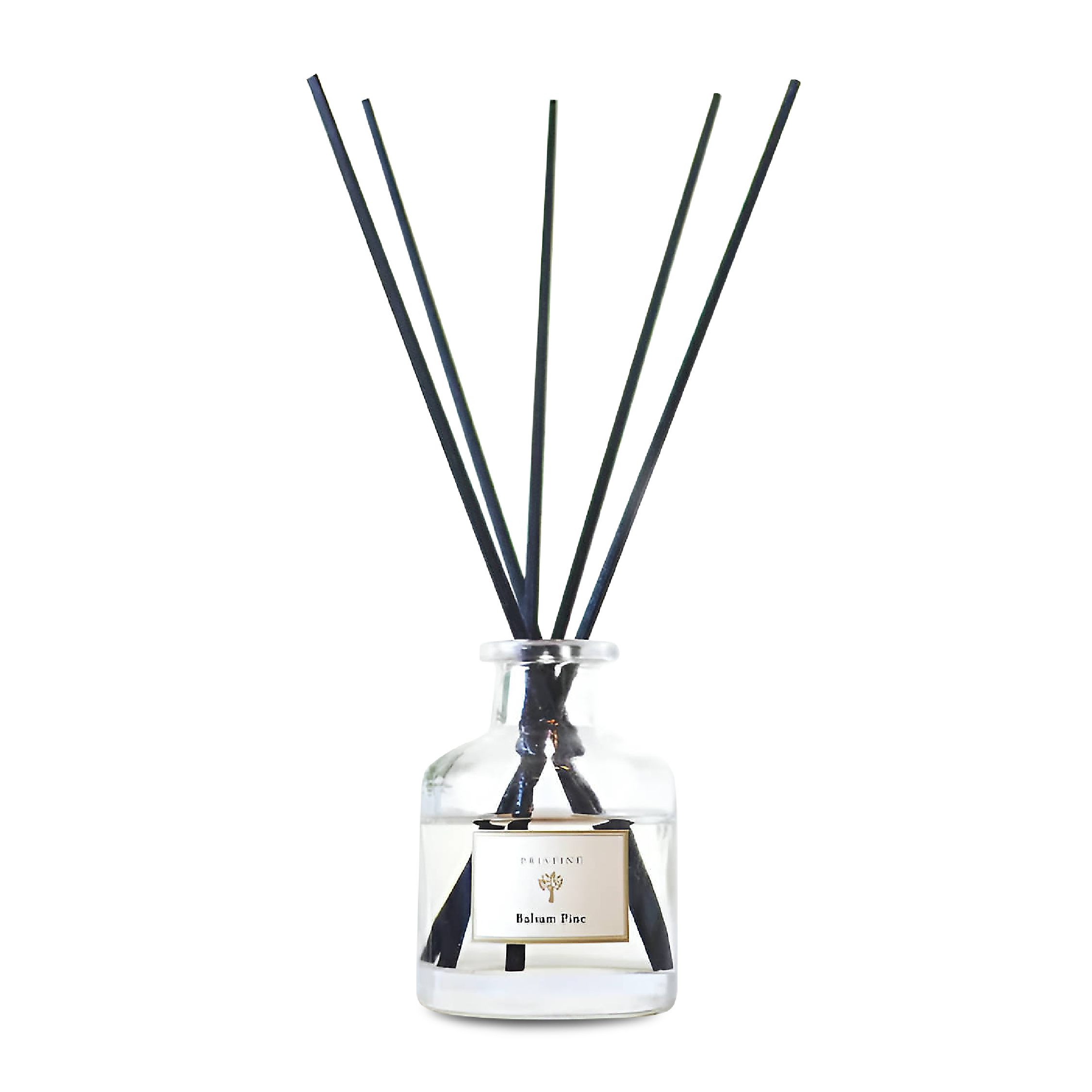 Pristine Balsam Pine Reed Diffuser – MAJUHOME eStore