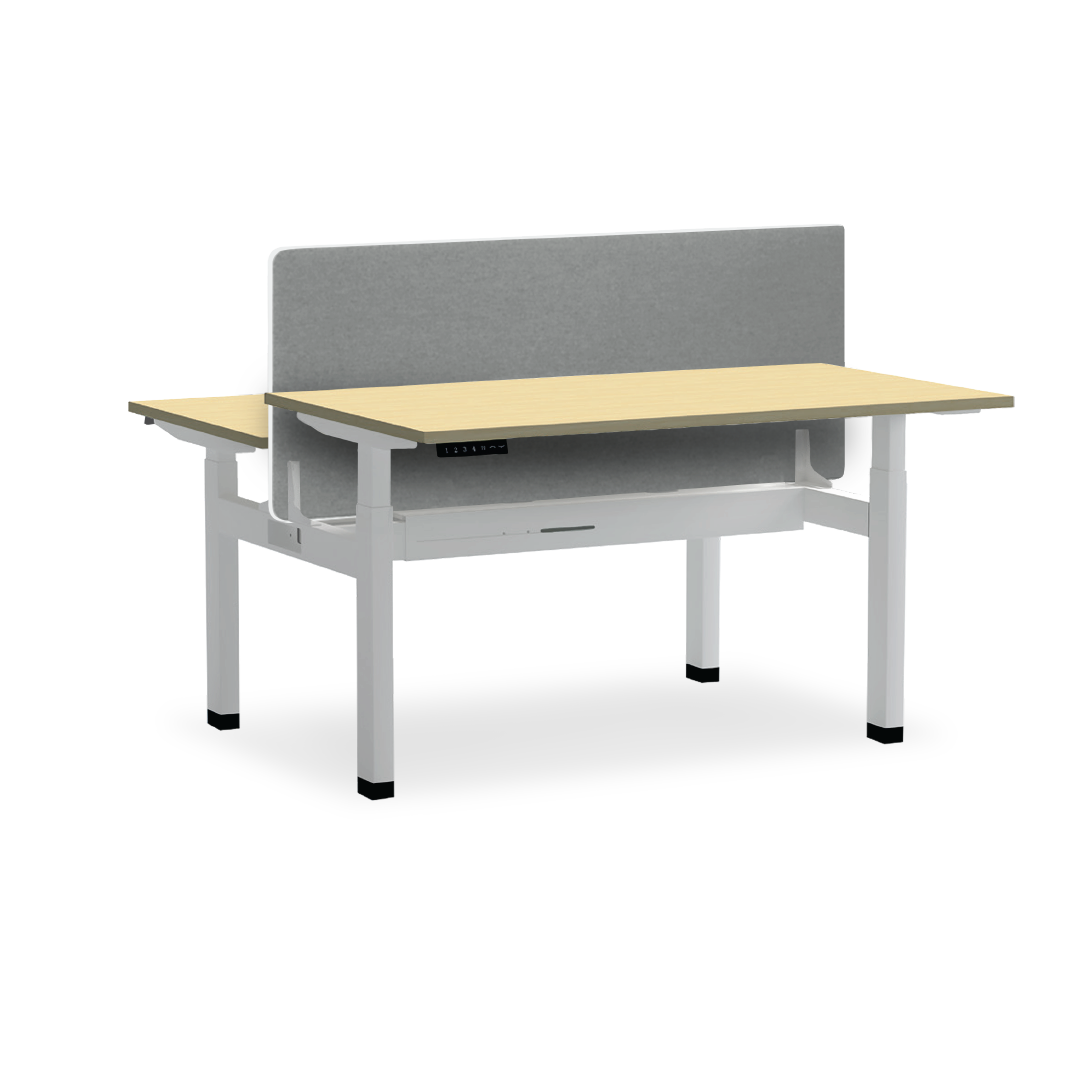 DUALFLEX Height Adjustable Workstation Desk with Panel – MAJUHOME eStore